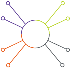 S.P.I.D.E.R.S. | Elementary